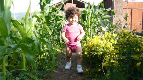 Maral 1 The Armenian Weekly