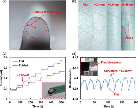 Flexibility Characterization For The Mofs Sensor A Schematic Of Download Scientific Diagram
