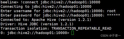 处理hive中hiveserver2启动后，beeline连接出现的“拒绝连接” 谭子 hiveserver2拒绝连接 csdn博客