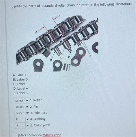 Solved Identify The Parts Of A Standard Roller Chain Chegg Com