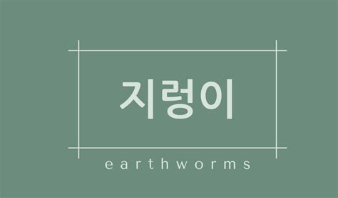 지렁이 Earthworms 특징 서식지 종류 천적 수명 몸무게 꿈해몽