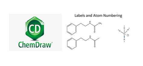 Chemdraw原子怎么显示 Chemdraw怎么画原子结构示意图 Chemdraw中文网