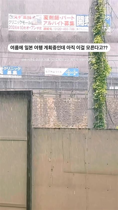 애니ㅣ가성비 프로 여행러 도쿄 가기전 보면 좋은 정보 1 시부야 스크램블 교차로 시부야 스타벅스 여기서 음료 마시며