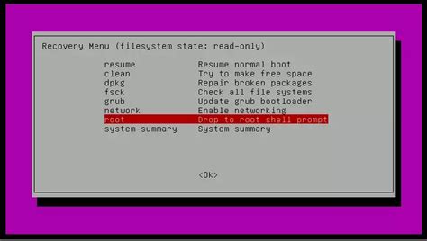 Step By Step Guide Reset Forgotten Ubuntu Passwords Geek Rewind