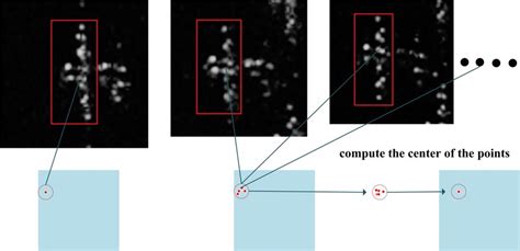 Determination Of The Anchor Position Download Scientific Diagram