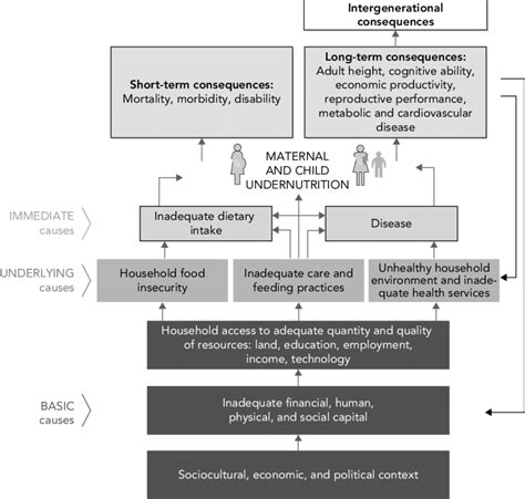 1 Unicef Conceptual Framework For Undernutrition Download Scientific Diagram