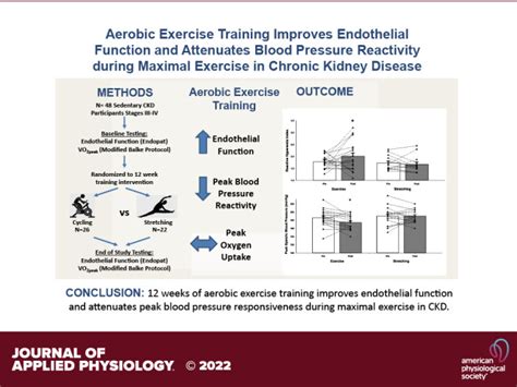 Aerobic Exercise Training Improves Endothelial Function And Attenuates