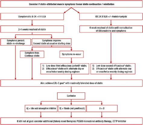 Statin Intolerance Diagnosis And Management Indian Journal Of