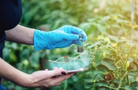 Plant Protection Lifeasible
