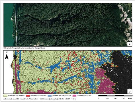 Results Of The Automatic Forest Delineation And Gap Extraction A
