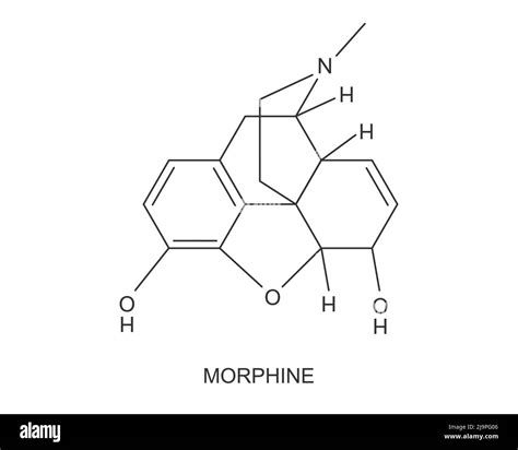 Morphine Lewis Structure