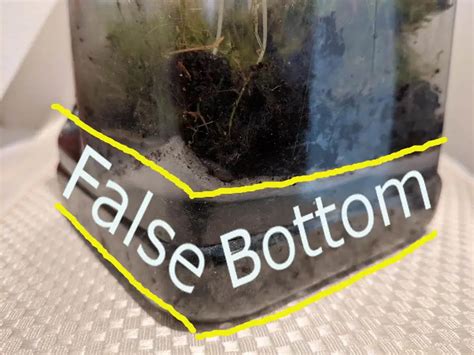 all about false bottoms in a terrarium what why and how much storing plastic bags build a