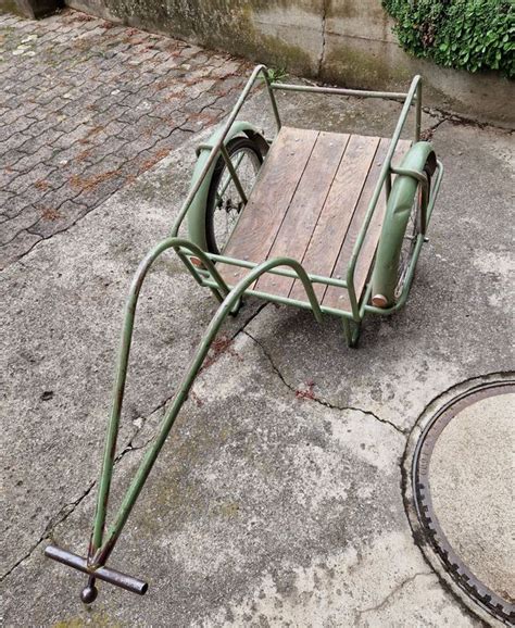 Veloanhänger | Kaufen auf Ricardo
