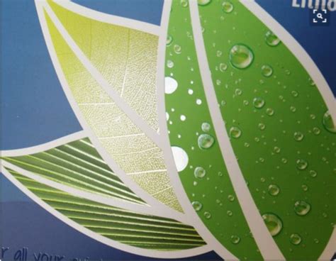 Packaging Paper Finishes Effects Gloss Spot Varnish Emboss Texture