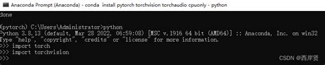 Anaconda Pytorch