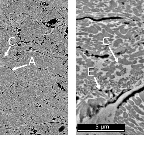 Bse Micrographs Showing The Microstructure Of The Hvof Stellite 6