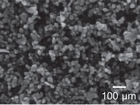 Sem Image Of The Mesoporous Zno Electrode Download Scientific Diagram