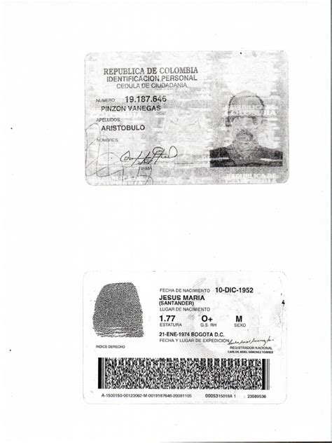 Cedula Representante Legal Csar Avioe Pdf