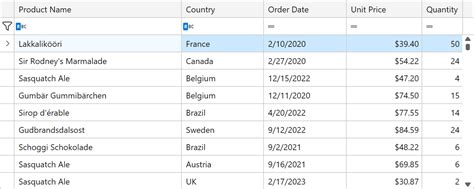 Automatic Filter Row Wpf Controls Devexpress Documentation