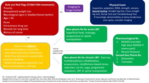 59 Back Pain And Sciatica Straighten Out Your Practice The Curbsiders