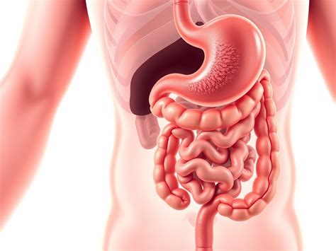 Sucraid For Csid Treatment Risks Of False Positive Breath Test Results And Diagnosis Accuracy