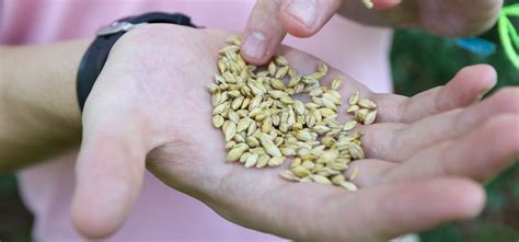 Fm2s Empresa Residente No Parque Da Unicamp Atinge 1 Milhão De Alunos