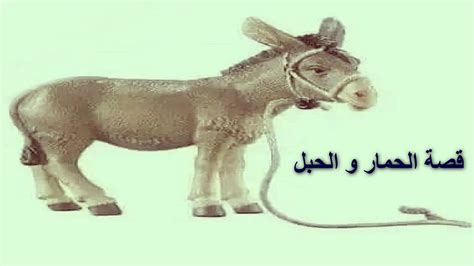 الحمار و الحبل Youtube