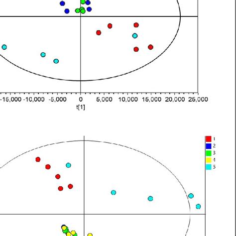 Principal Component Analysis Pca Scores Plot Showing The Separation