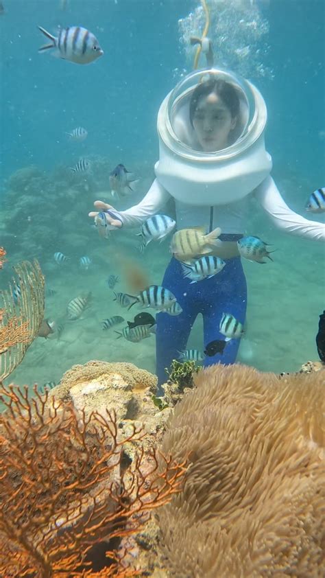 윤라엘 Lael ơi Thức Dậy Lúc 2 Giờ Sáng Theo Giờ Hàn Quốc đến Sân Bay