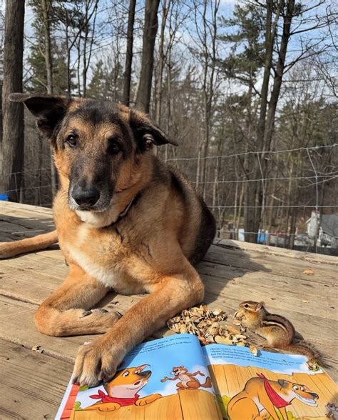 Django Django Added A New Photo