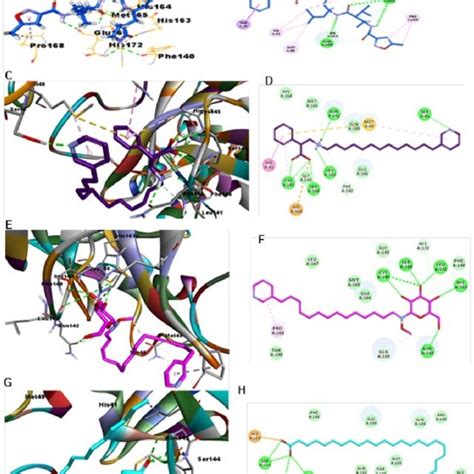 Depiction Of 3d And 2d Binding Modes Of Compounds 10 Ab 8 Cd 9