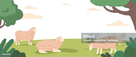 푹신한 양들이 평화롭게 풀을 뜯고 있는 광활한 들판의 여름 자연 풍경은 고요하고 그림 같은 풍경을 연출합니다 가축떼에 대한 스톡 벡터 아트 및 기타 이미지 Istock