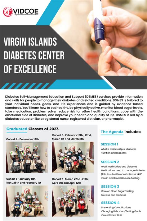 Diabetes Self Management Education And Support Dsmes Services Vi Diabetes Center Of Excellence