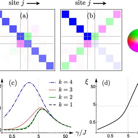 Steady State Correlationsˆbcorrelationsˆ Correlationsˆb † I ˆ B J For