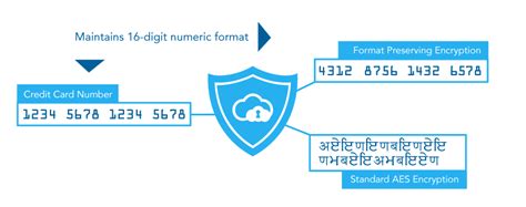 Cloud Data Encryption Lookout