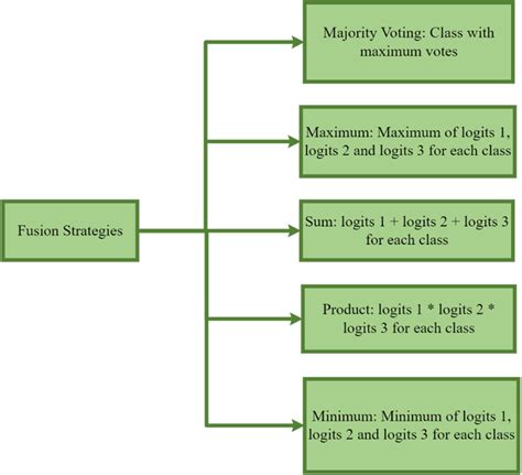 Different Fusion Strategies These Include Majorityvoting Maximum Download Scientific