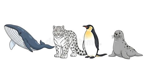 Diverse Wildlife Line Up Whale Leopard Penguin And Seal Cartoon