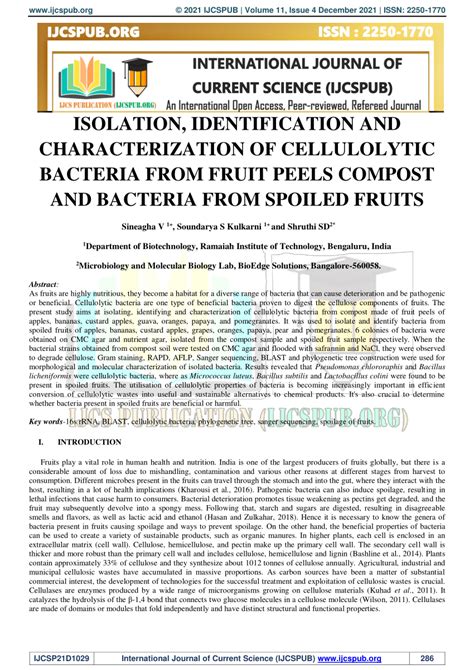 Pdf Isolation Identification And Characterization Of Cellulolytic Bacteria From Fruit Peels