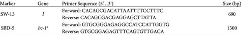 Evaluation Of Different Common Bean Genotypes Regarding To Resistance