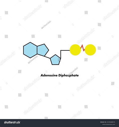 Adenosine Diphosphate Adp Science Icon Illustration Stock Vector