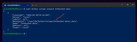 How To Install Bitbucket On Ubuntu Using A Docker Container Cloudspress