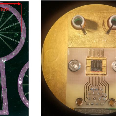 Left Image Of The Fabricated Ti Tes Device After Drie Etching The