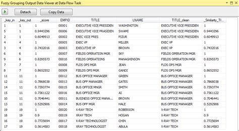 Umas Blog How To Use Fuzzy Grouping In Ssis