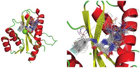 Molecular Alignment For The Complete Data Set Obtained From Docking