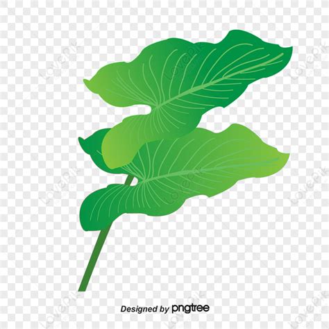 평면 심플한 녹색 파초 잎 원소 벡터 나뭇잎 일러스트초록비행기 Png 일러스트 무료 다운로드 Lovepik