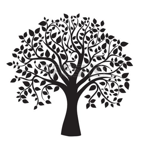 Tree Of Life Vector At Vectorified Com Collection Of Tree Of Life Vector Free For Personal Use