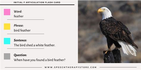 105 Initial F Words Speech Therapy Free Word Lists Speech Therapy Store