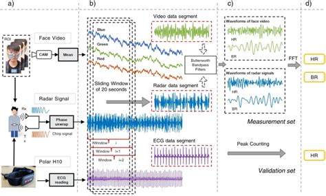 Portfolio Nate Xingyu Yang Github
