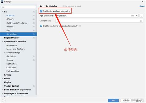 golang安装配置 goland安装配置 goland2020 配置 csdn博客