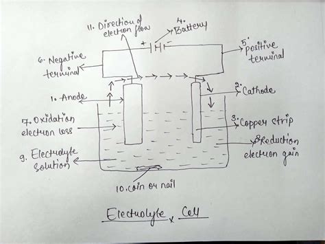 Battery Positive Terminal Electrons At Juan Borger Blog